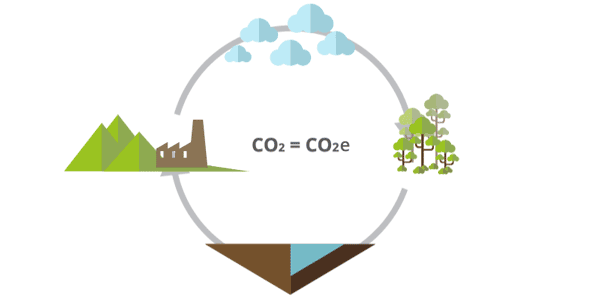 EL PAPEL DEL OXÍGENO Y EL DIÓXIDO DE CARBONO : INTRODUCCIÓN