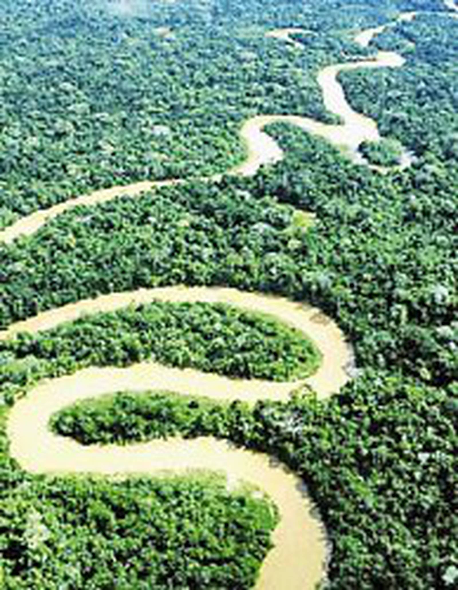 Geólogos descubren que río Amazonas invirtió su rumbo | La Nación