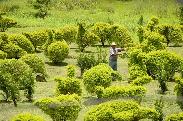 Perdidas en el Laberinto Katira - La Nación