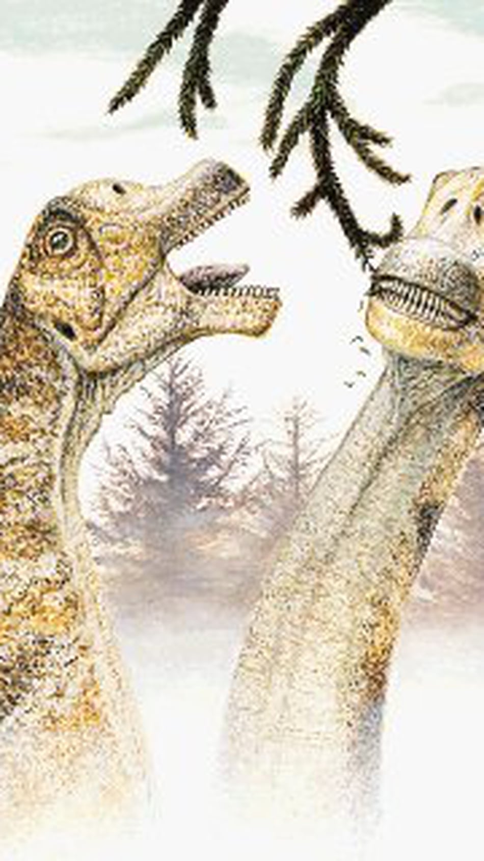 Cráneos revelan nueva especie de dinosaurio herbívoro enorme - La Nación