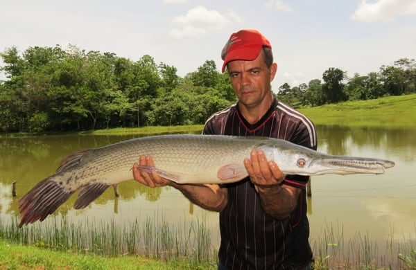 Caño Negro listo para recibir este fin de semana a los amantes del pez ...