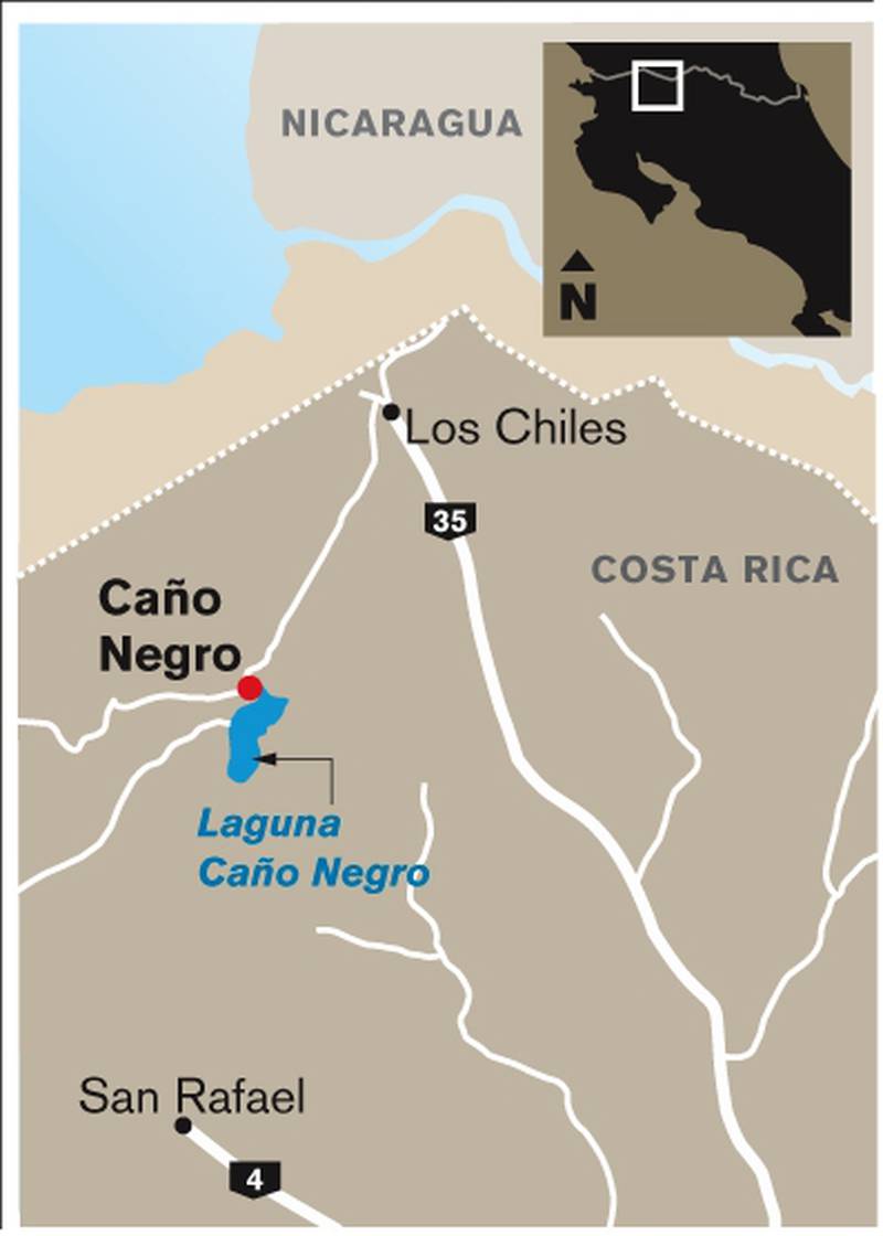 UNA libera 1.500 peces gaspar en Caño Negro | La Nación