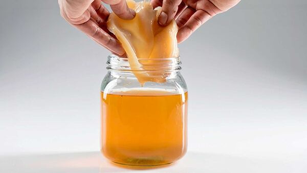Kombucha: el hongo de la inmortalidad - La Nación