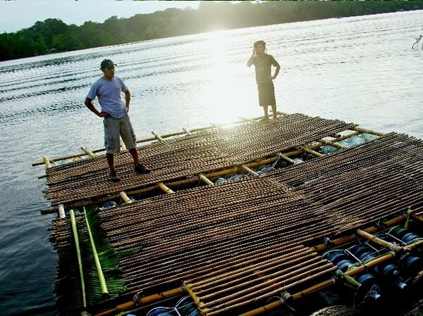 Balsa hecha con bidones flota en aguas de Tortuguero - La Nación