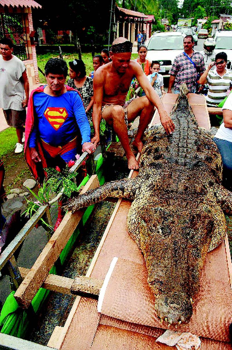 Siquirres lloró por el cocodrilo Pocho | La Nación