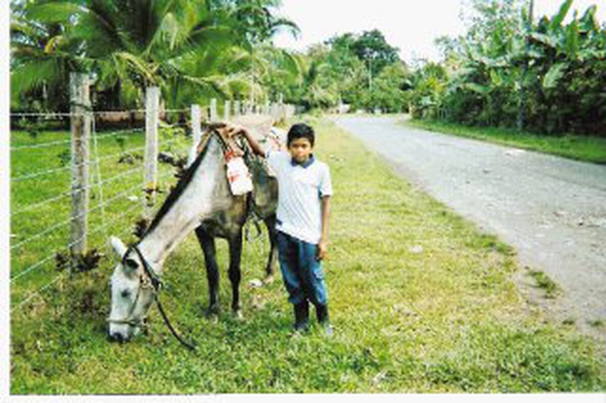 Jóvenes fotografían vida en la zona rural - La Nación