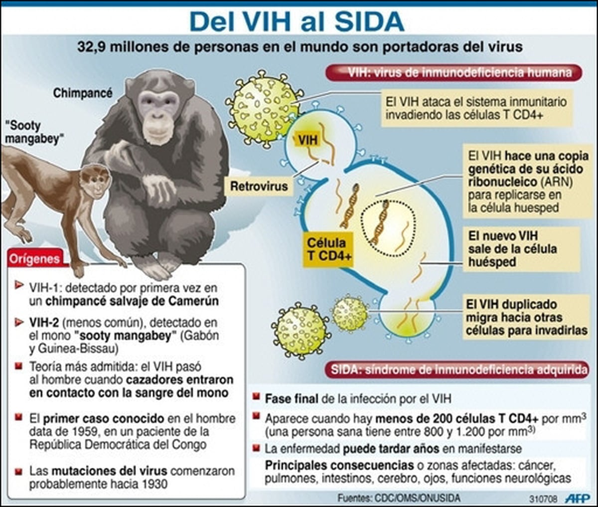 Qué es el Síndrome de Inmunodeficiencia Adquirida o sida - La Nación