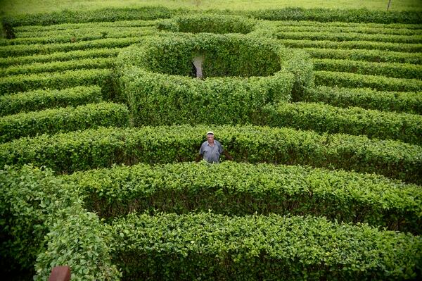 Perdidas en el Laberinto Katira - La Nación