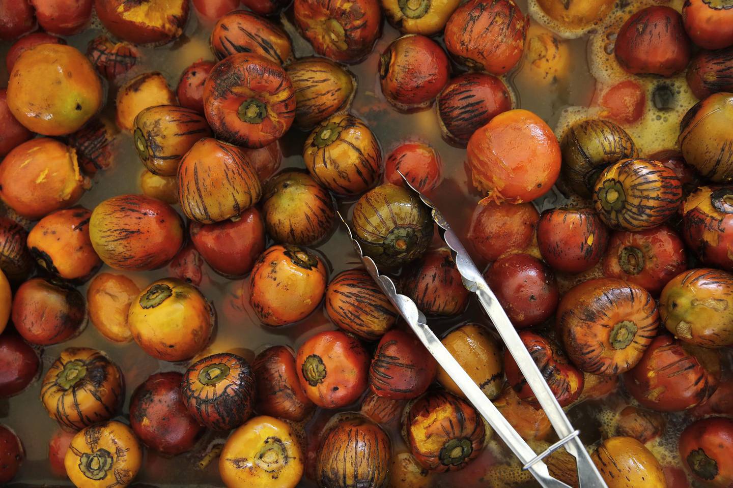 Pejibaye, la fruta que su cuerpo necesita | La Nación