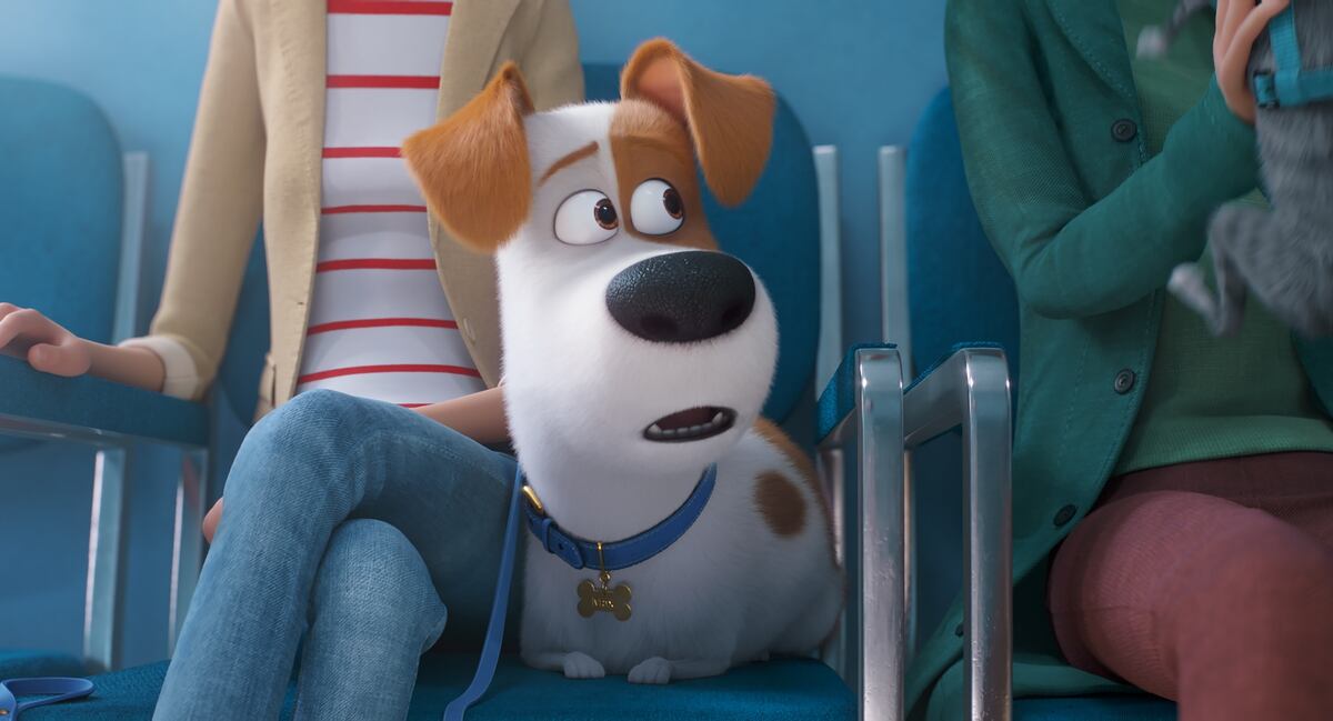 ‘La vida secreta de tus mascotas 2′ revela la nueva vida de Max y su ...