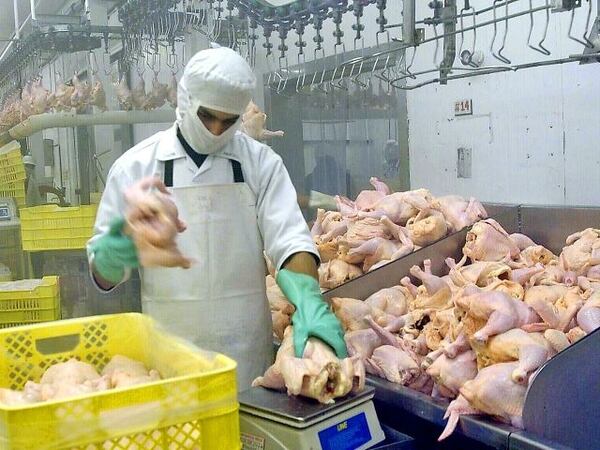 Mercado del pollo queda en manos extranjeras tras venta de Pipasa - La ...