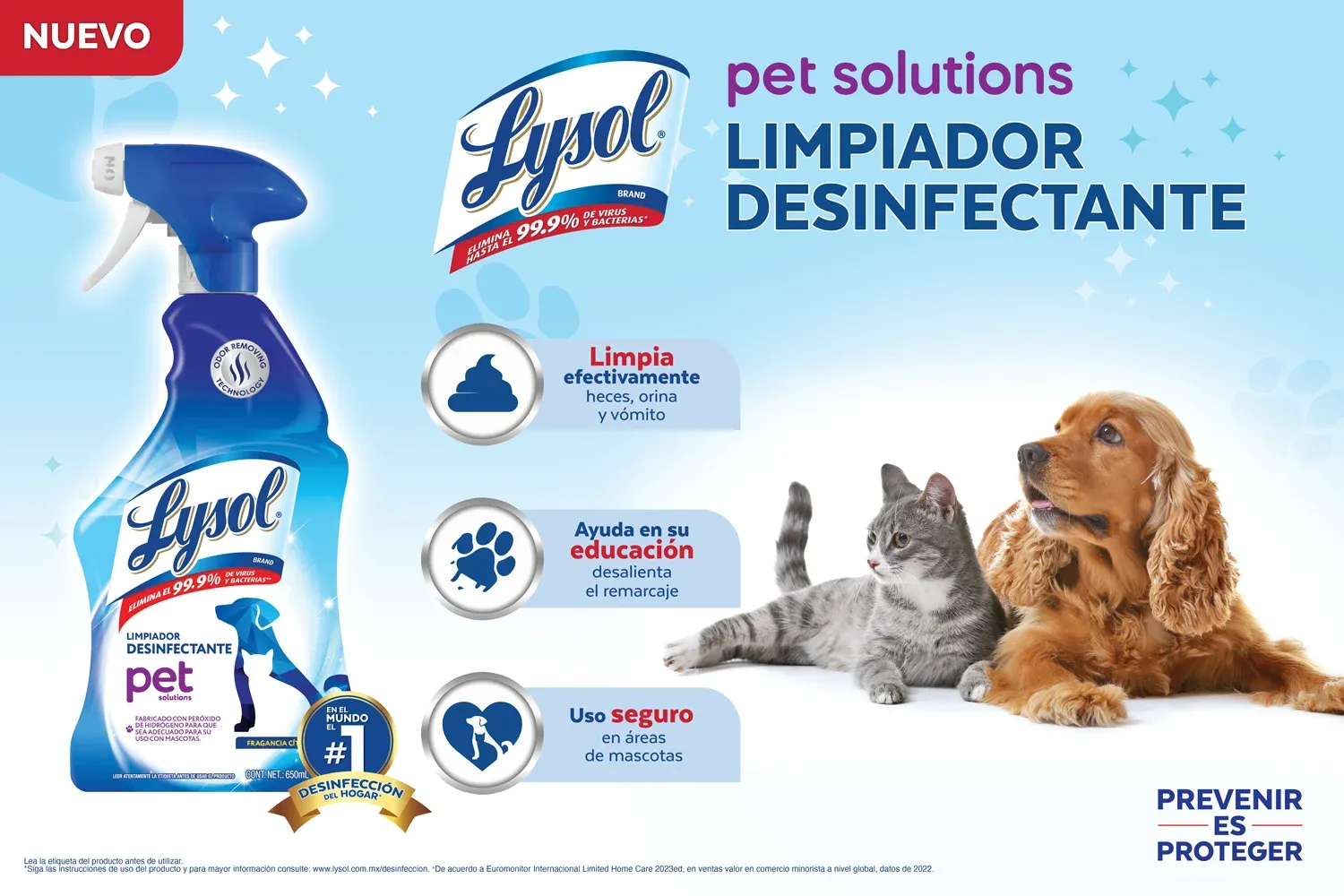 Puedo Usar Toallitas Lysol En Perros