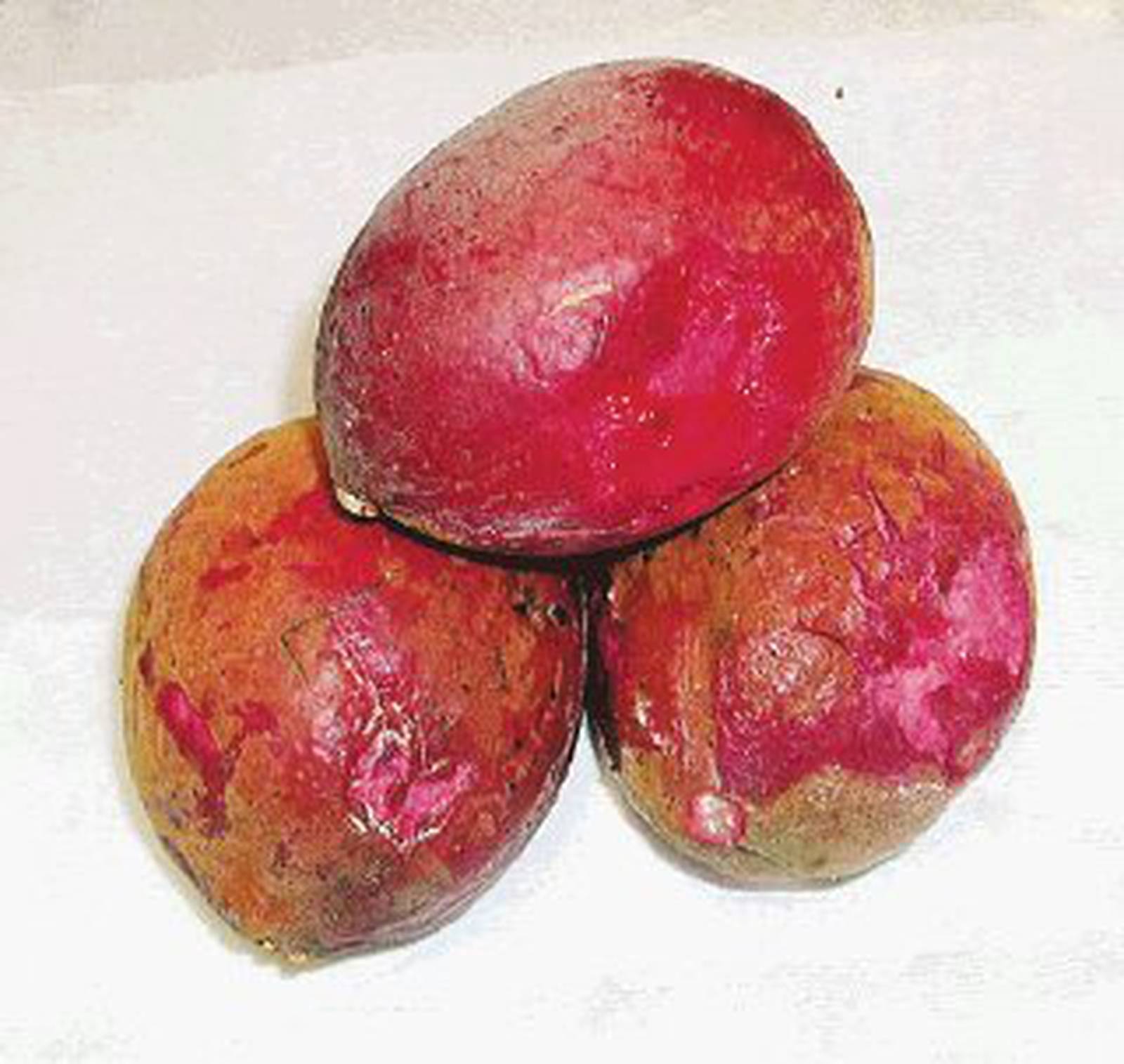 Dieta de ticos pierde nutrientes por eliminar frutas autóctonas | La Nación