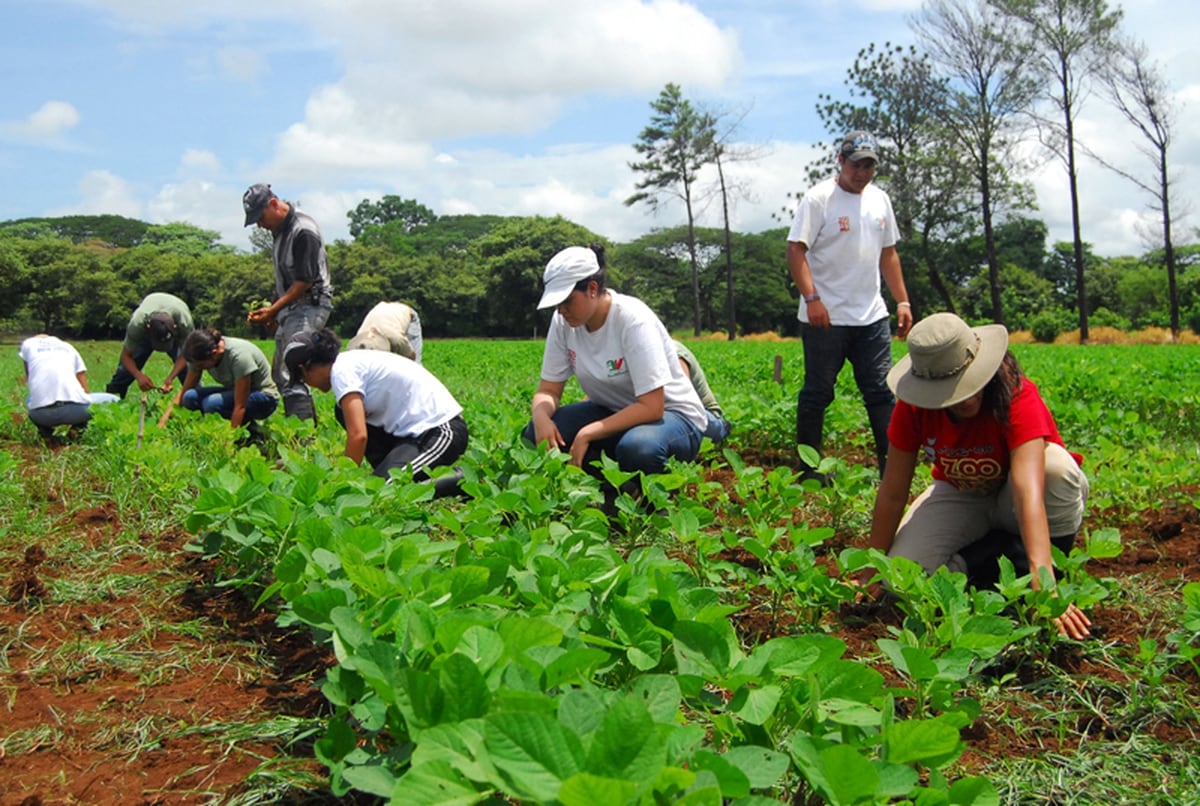 UCR crea 22 carreras para llenar vacíos de empleo en zonas rurales - La ...