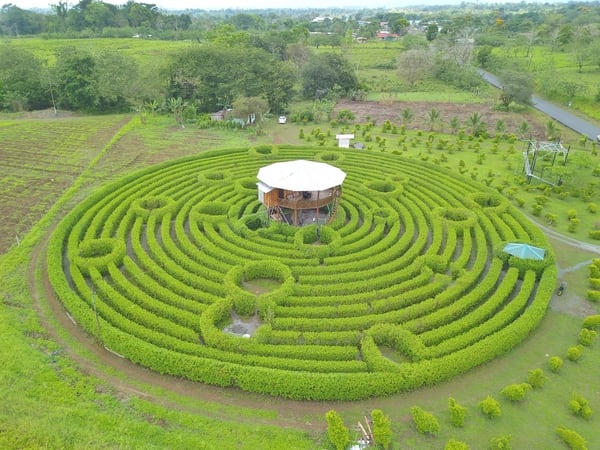 Perdidas en el Laberinto Katira - La Nación