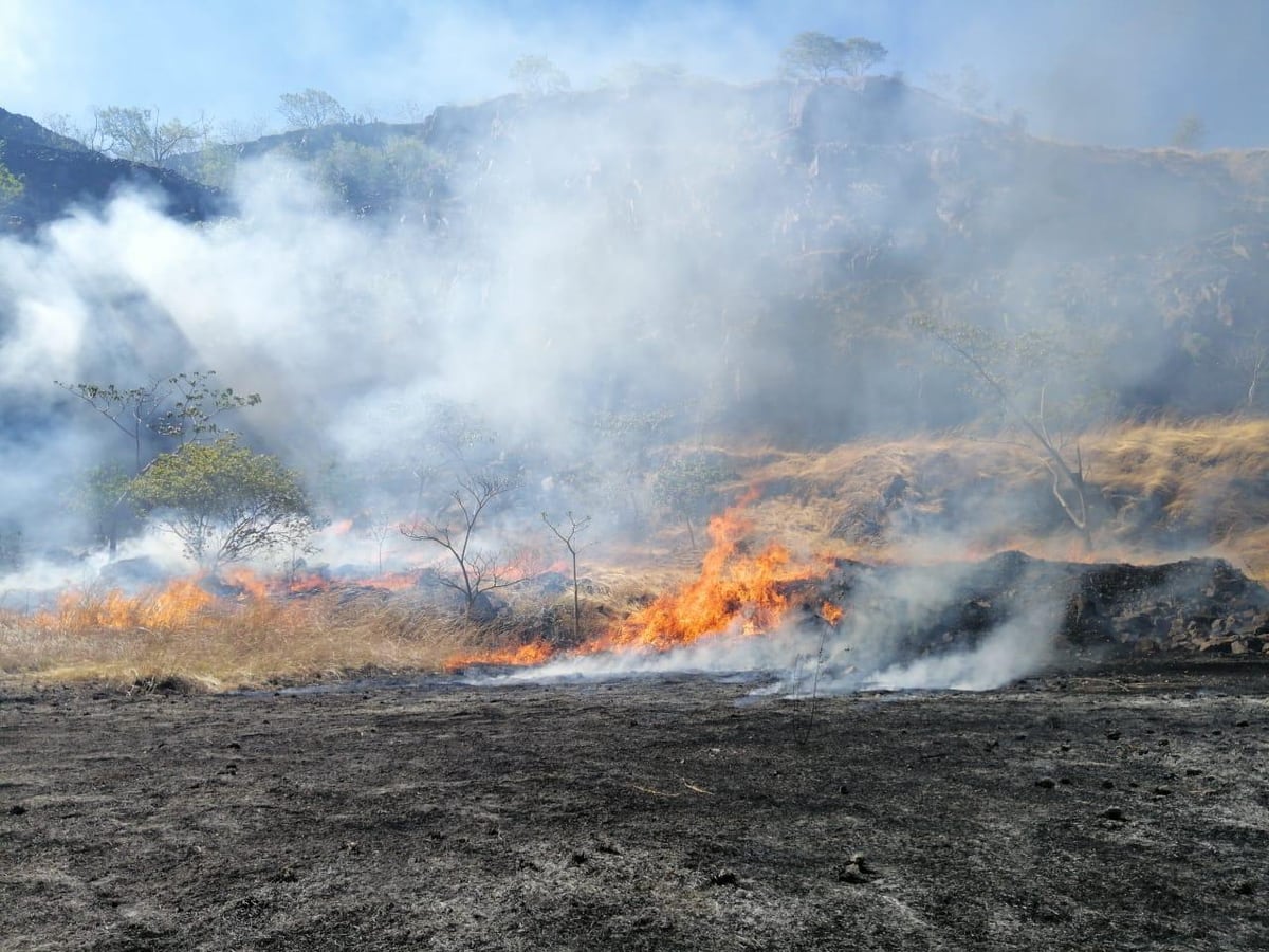 Incendios forestales han consumido 3.568 hectáreas en el 2019 - La Nación