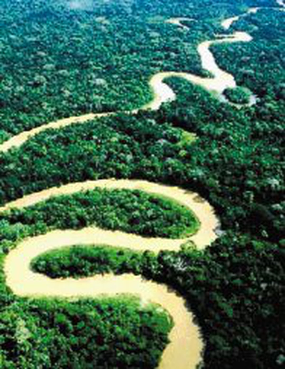 Amazonas es el río más largo del mundo - La Nación