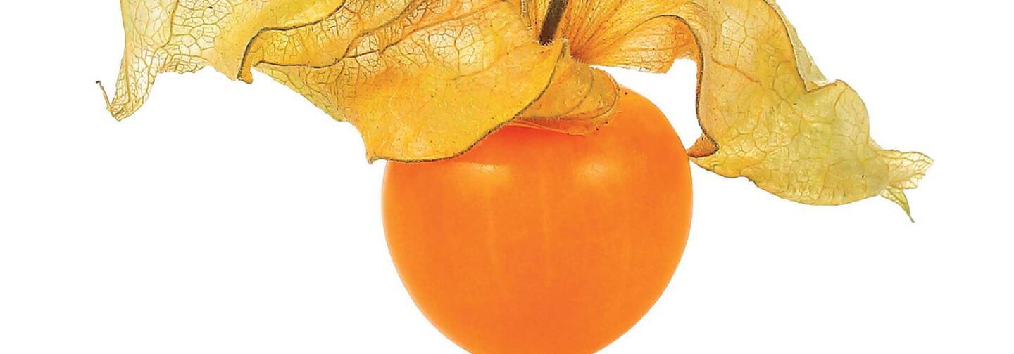Uchuva: la fruta del amor | La Nación