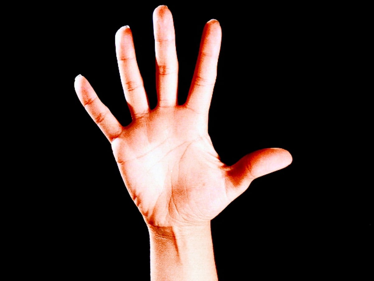 Mano humana evolucionó para incrementar aptitud para lucha - La Nación