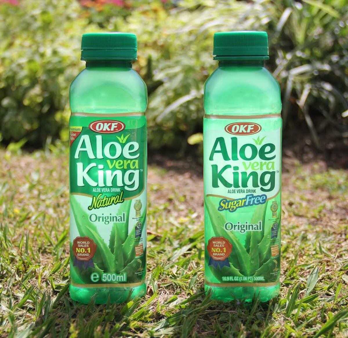Lanzan dos nuevas bebidas a base de aloe de vera - La Nación