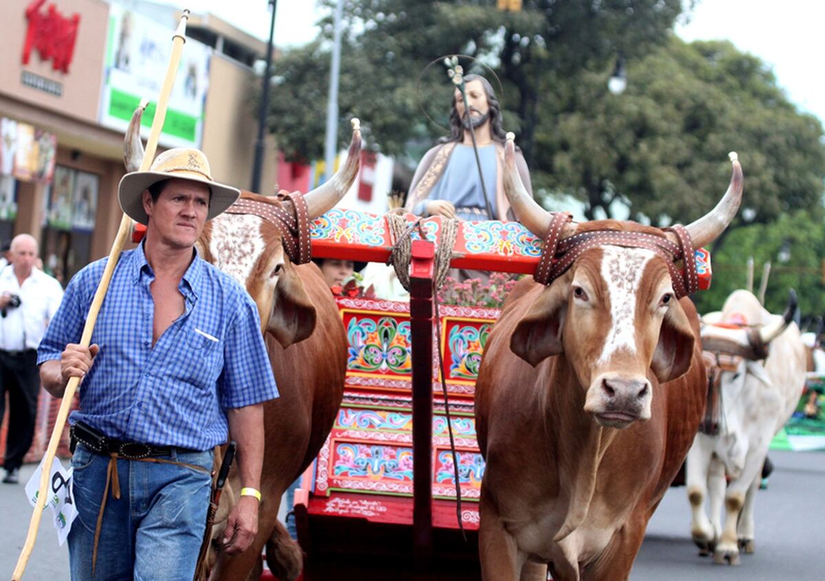 Bueyes, carretas y boyeros inspirarán concurso de arte - La Nación