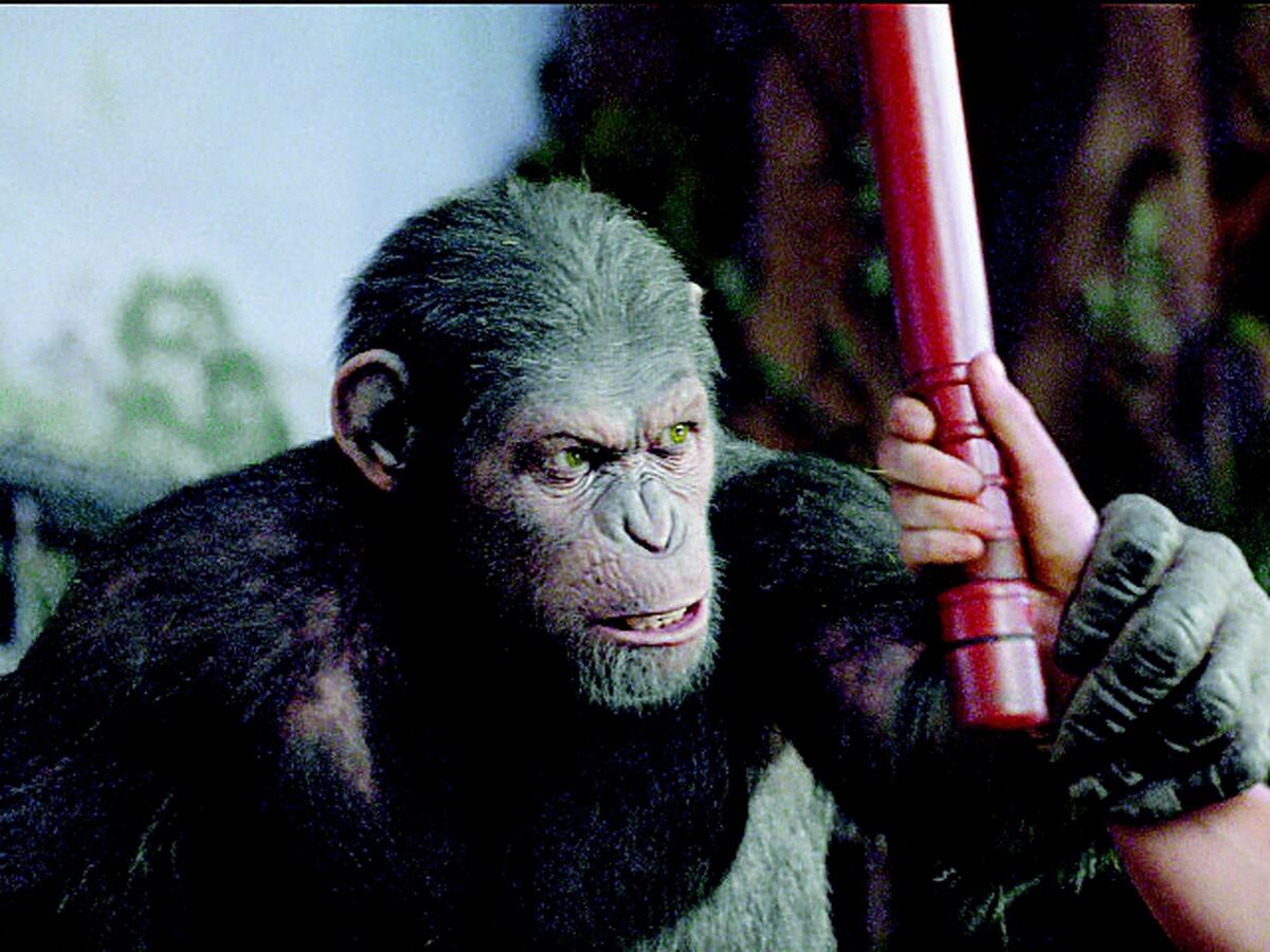 Los simios matan y toman el control - La Nación