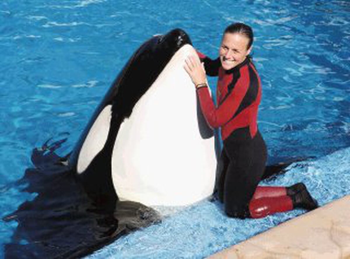 Orca ataca y mata a su entrenadora en SeaWorld - La Nación
