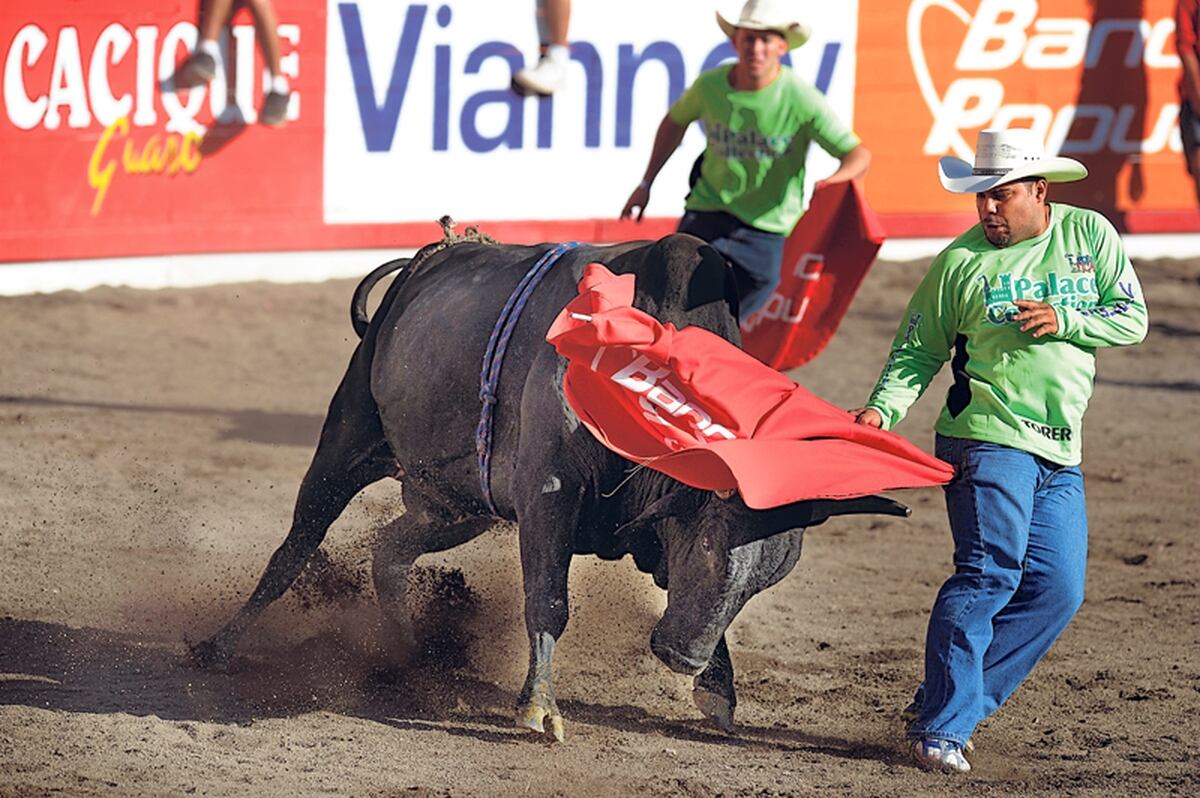 Crítica de televisión: Corridas de toros - La Nación