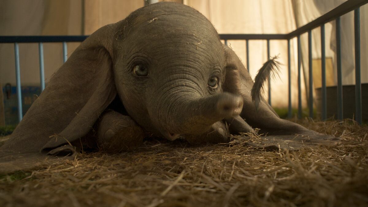 ‘Dumbo’: el tierno elefante regresa a la gran pantalla 77 años después ...
