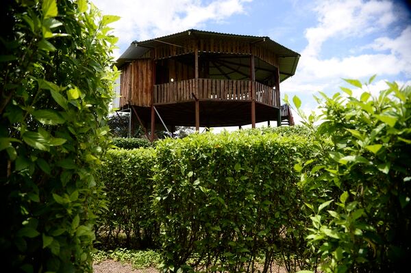 Perdidas en el Laberinto Katira - La Nación