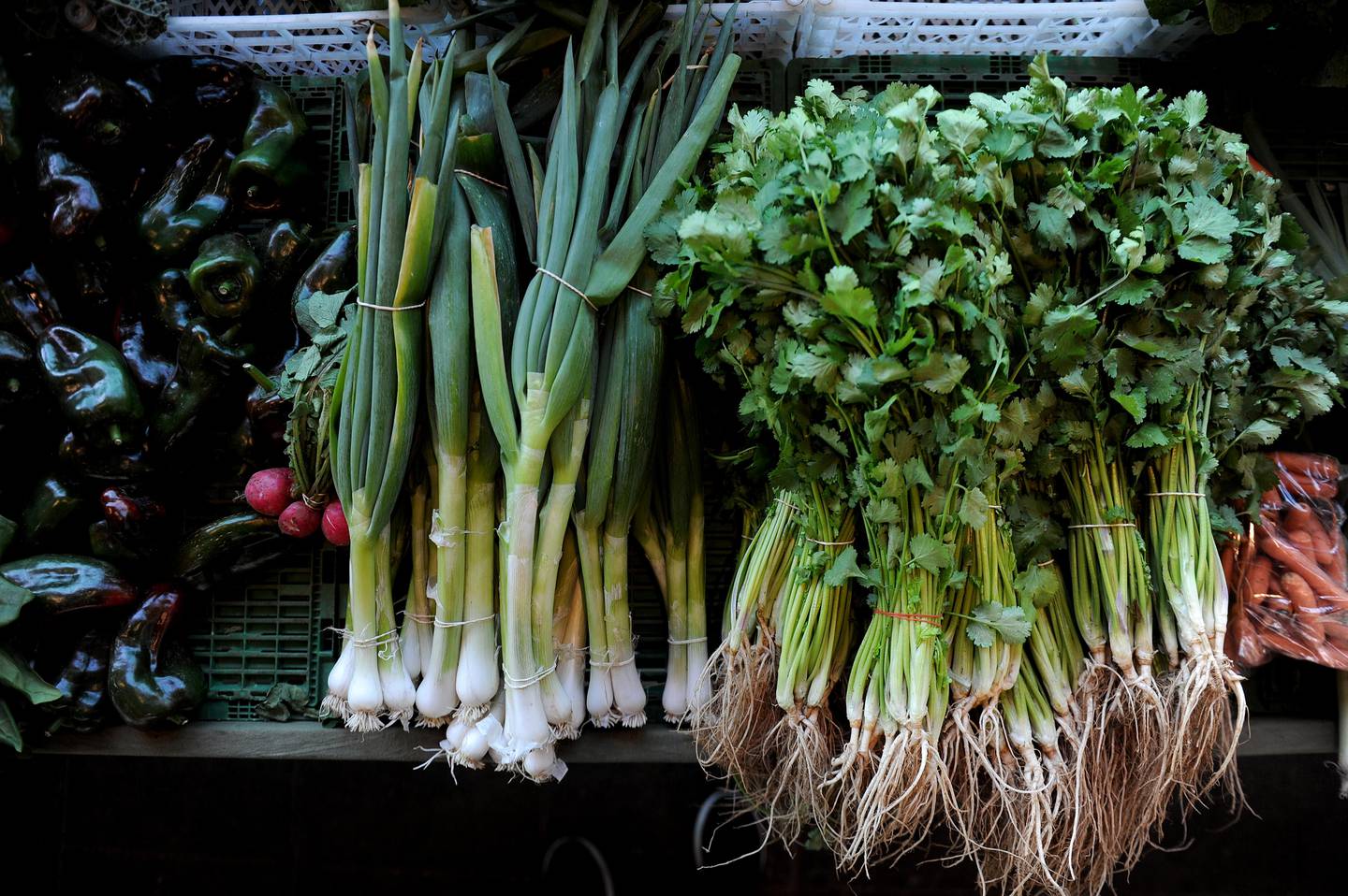 Gastronomía tica: bajo el plan de lo responsable y lo sostenible | La ...