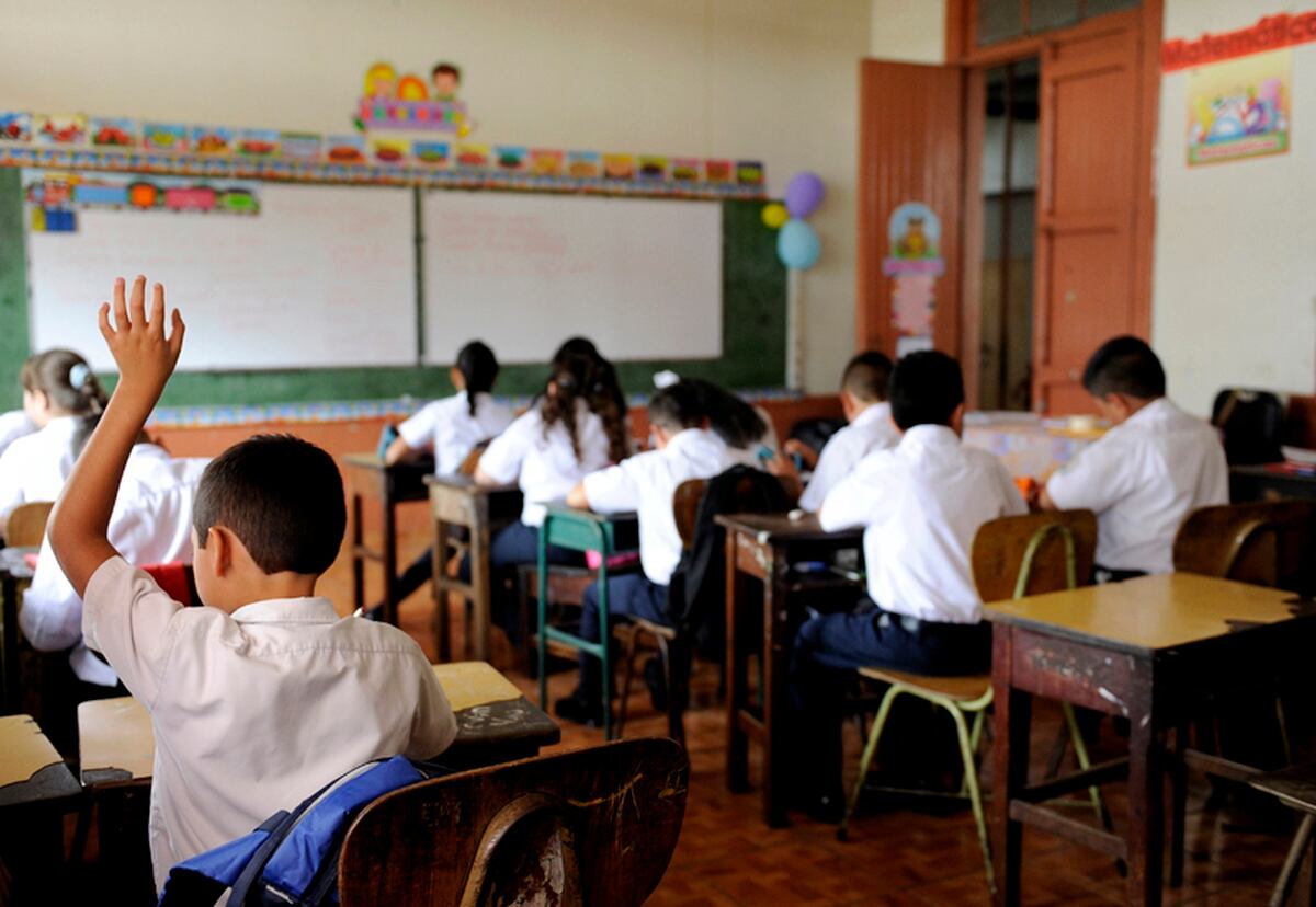 Alumnos superdotados se desperdician en aulas de Costa Rica - La Nación