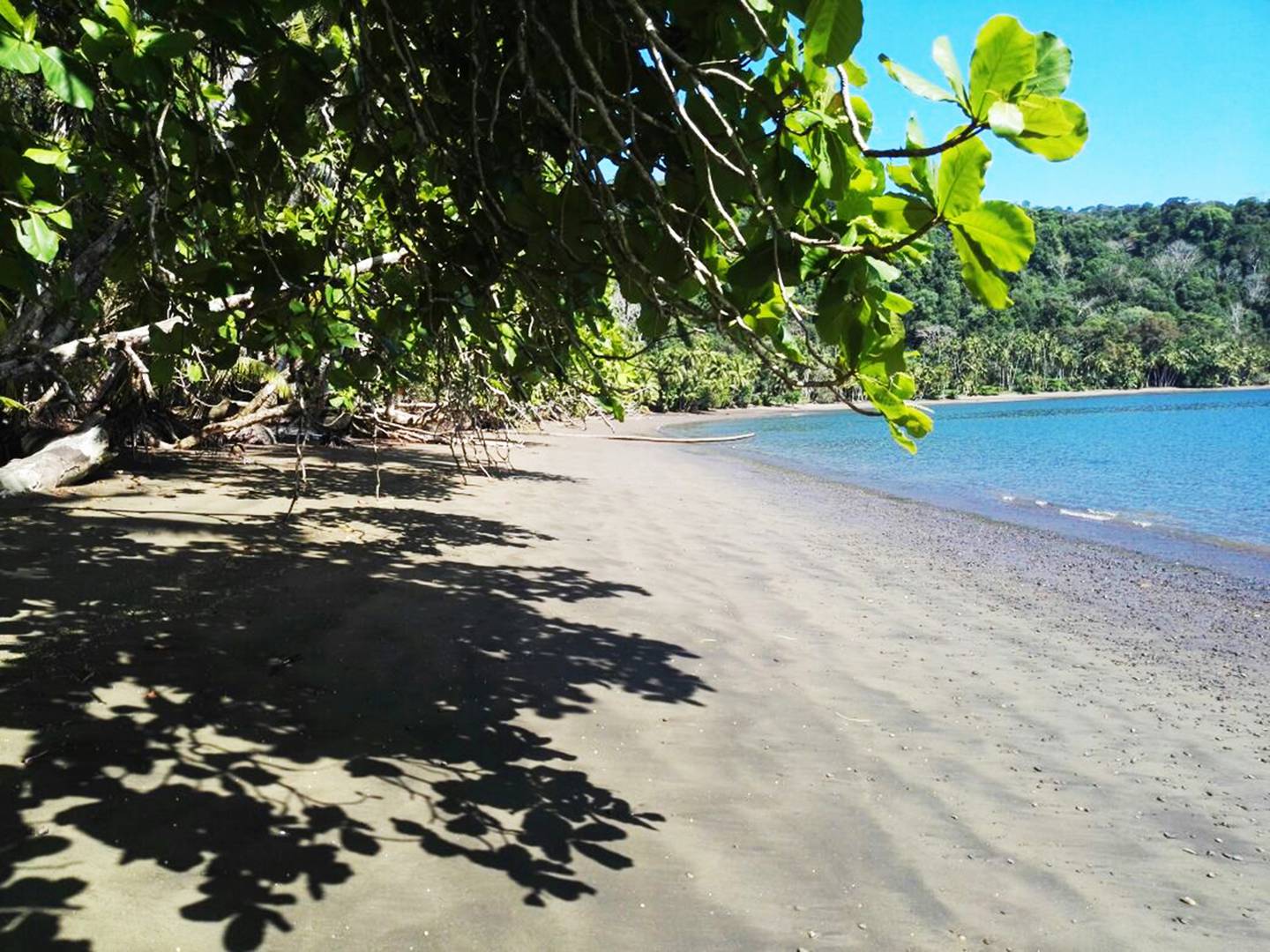 Su viaje a Golfito puede ser más que un coffee maker barato | La Nación