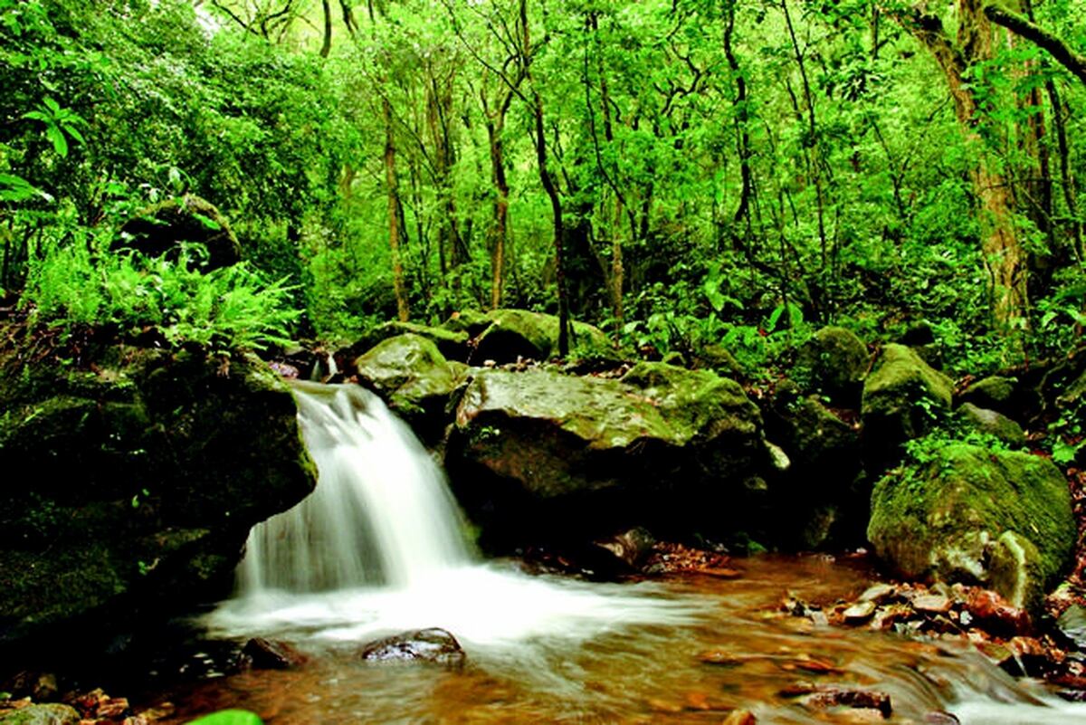 La Costa Rica rural lo espera - La Nación