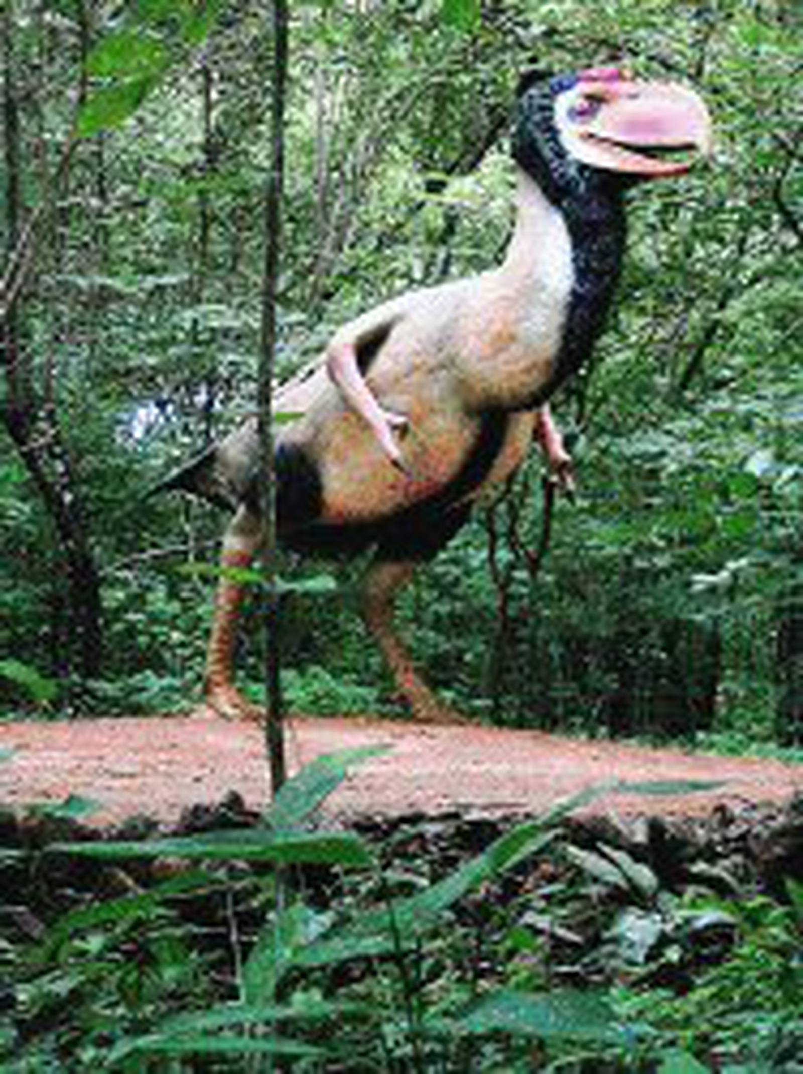 'Megafauna' presenta a grandes mamíferos extintos | La Nación