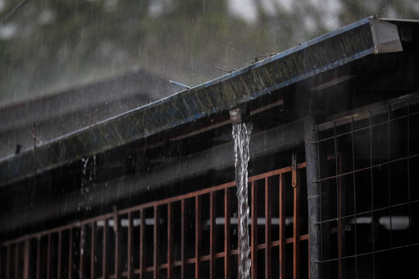 Octubre inicia con fuertes aguaceros, rayería y alerta amarilla | La Nación