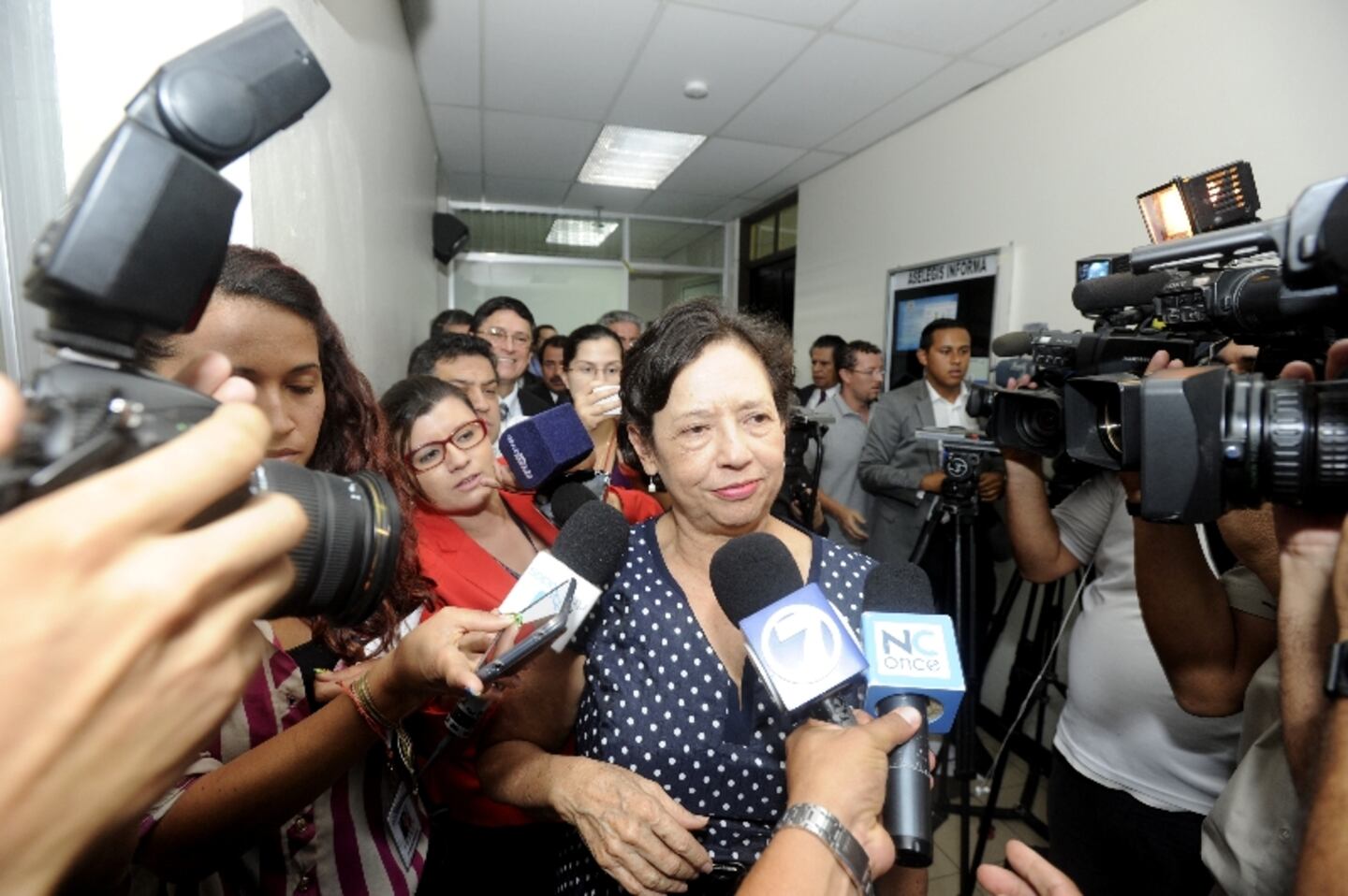 Diputados recomiendan que exministra de Cultura Elizabeth Fonseca no ...