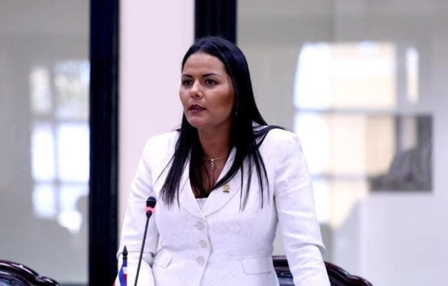 Marolin Azofeifa rompe línea del bloque fabricista en crédito del FMI ...