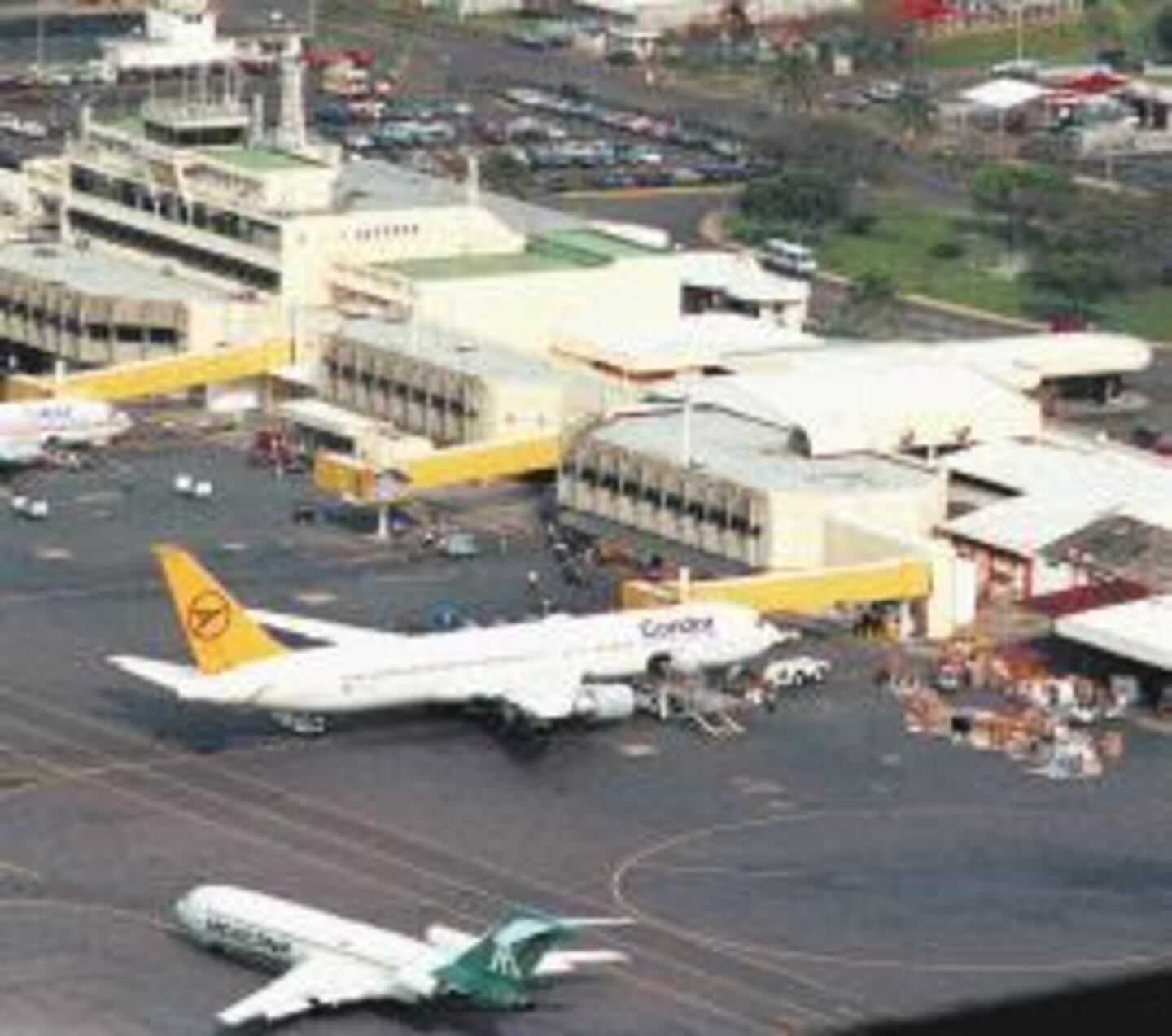 Cóndor vuelve a Costa Rica | La Nación