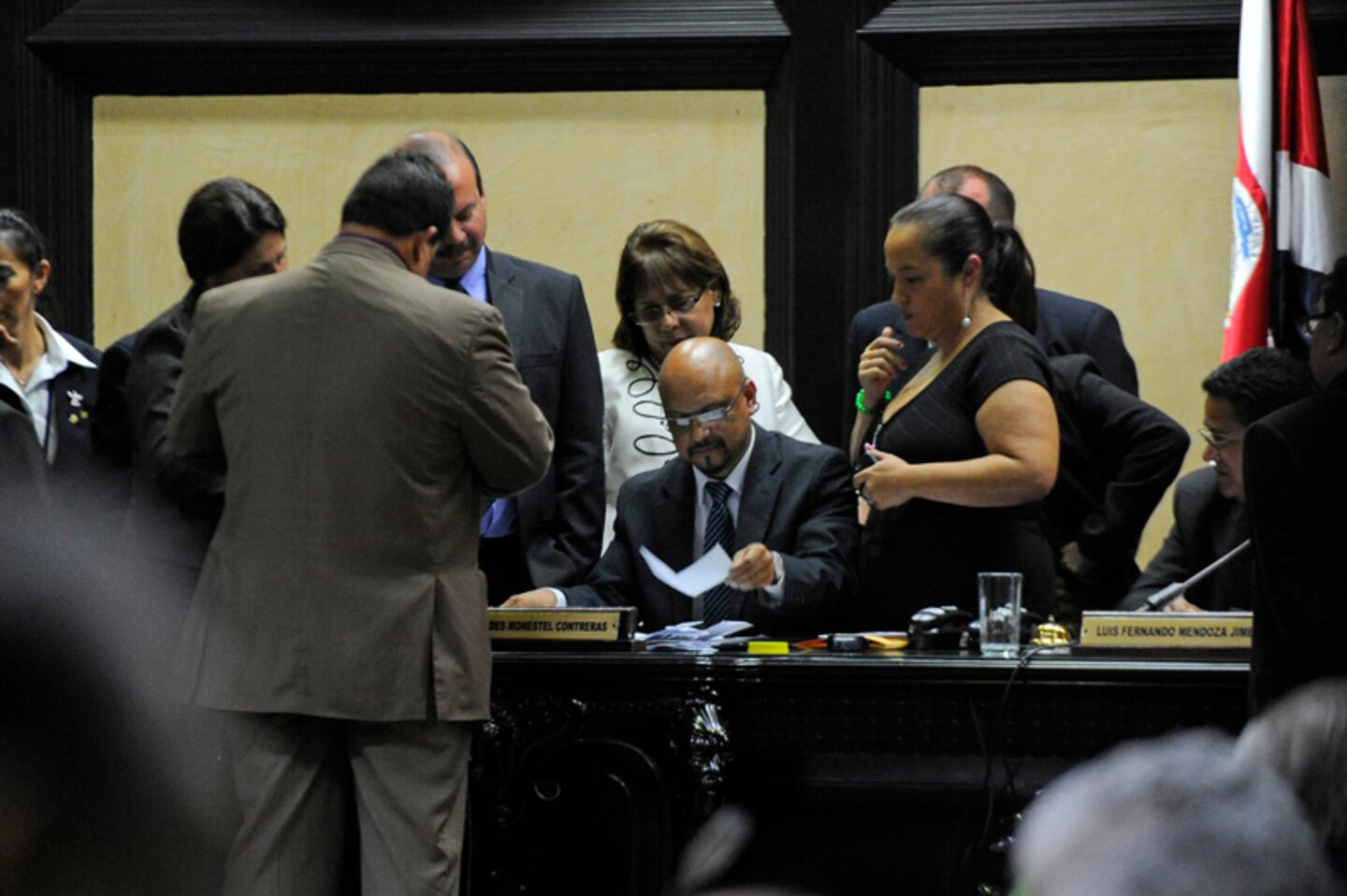 Diputados nombran a Iris Rojas en la Sala Primera | La Nación