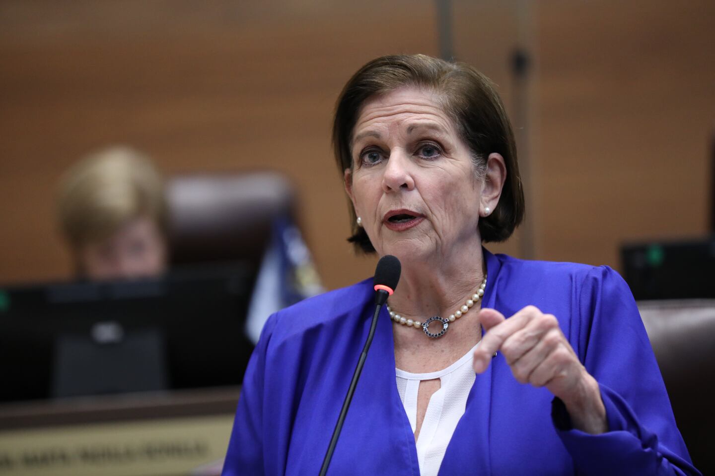 Diputados aprovecharon asistencia de Pilar Cisneros a marcha contra ...