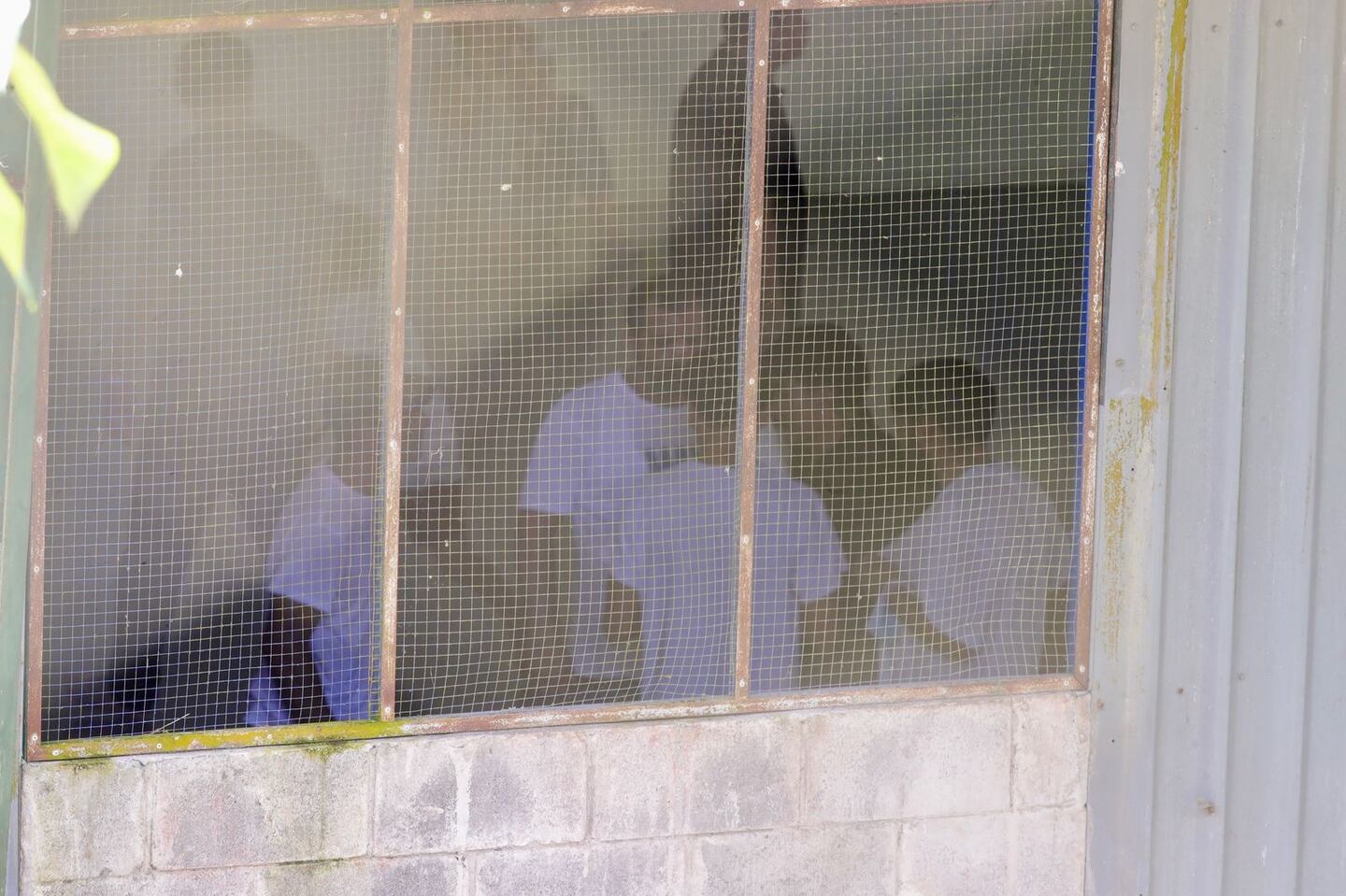 Ministro de Seguridad: migrantes deportados por Trump que soliciten ...