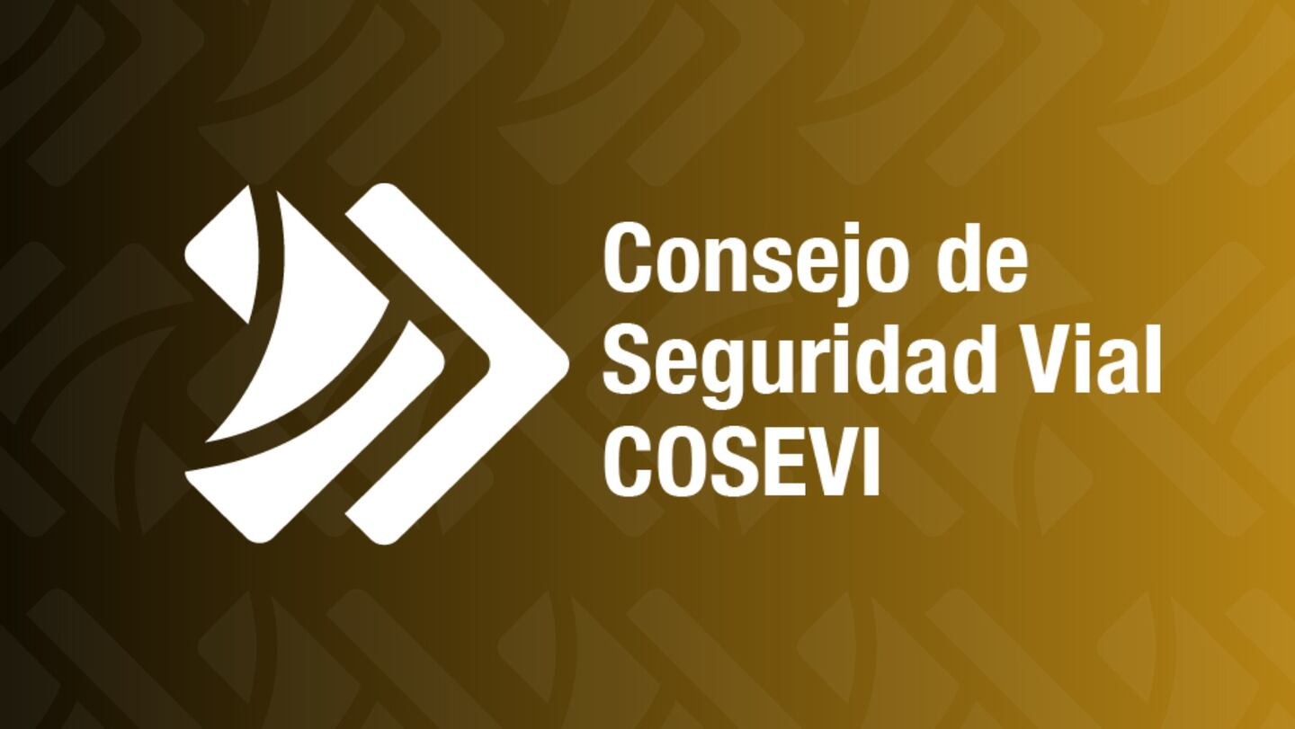 ¿Cómo crear un usuario en Cosevi? | La Nación