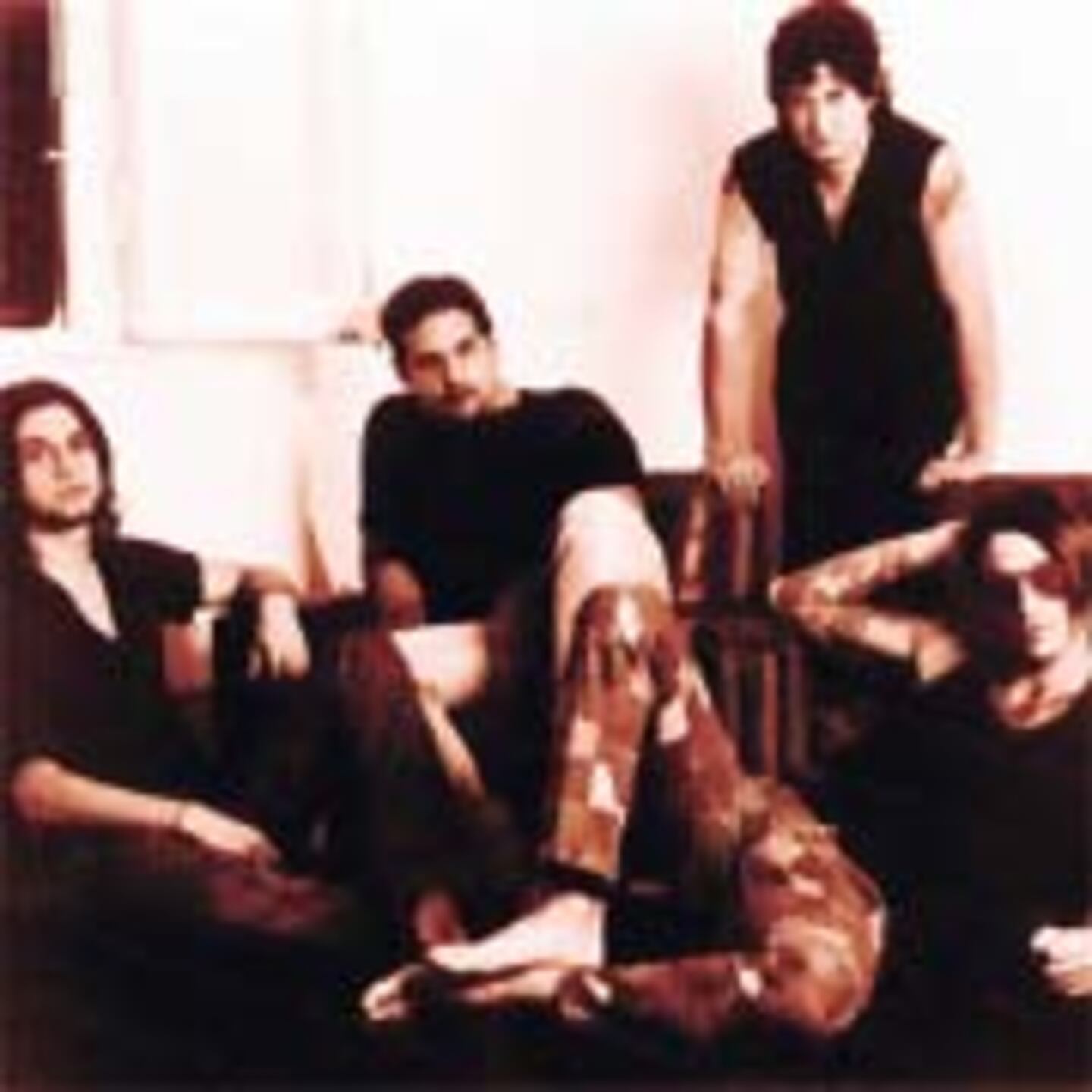 Mamíferos, colmilludos y alados | La Nación