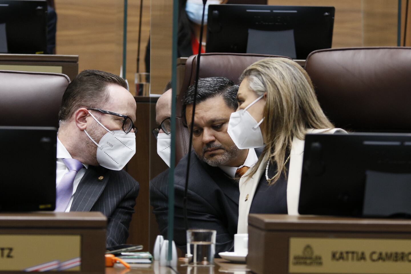 Partido de gobierno y PLP frenan plan de hidrógeno verde con consulta a ...