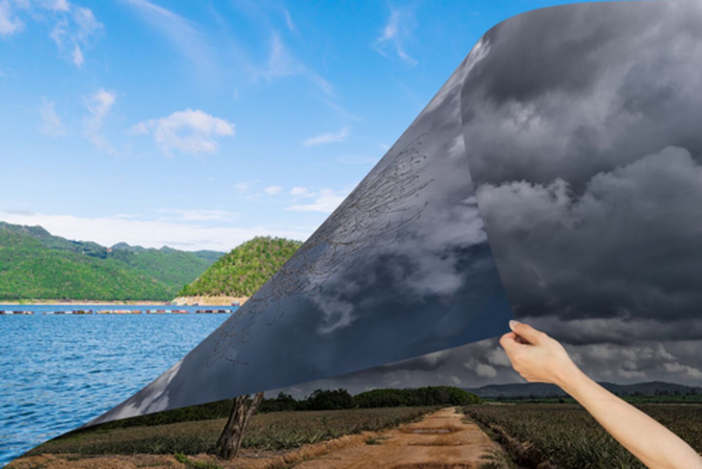 Editorial: Logro y compromiso ambiental | La Nación