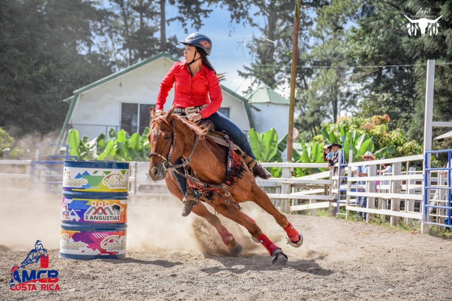 Conozca a las barrileras que llevan el rodeo y agilidad a las ...
