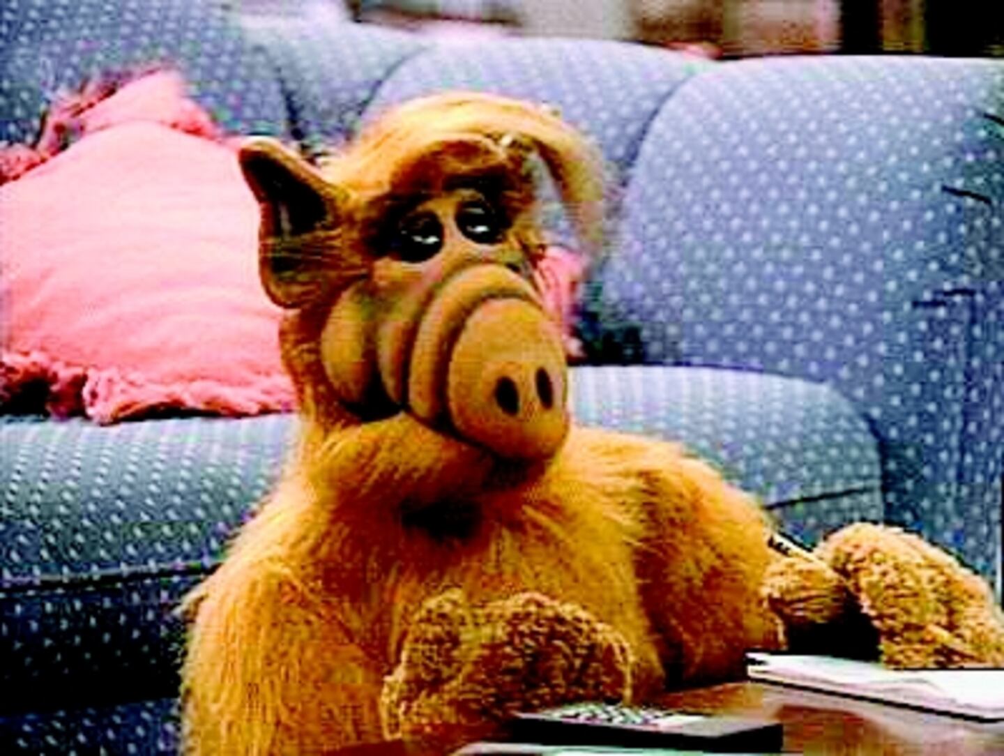 Alf: Los 36 años del alien que soñaba con comerse a su gato | La Nación