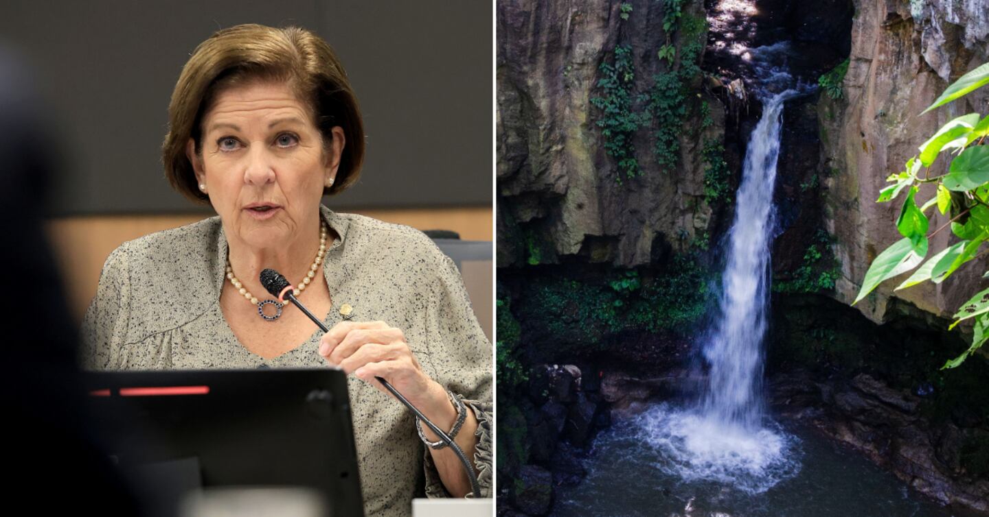 Pilar Cisneros insiste en darle al Minae control del parque Lorne Ross ...