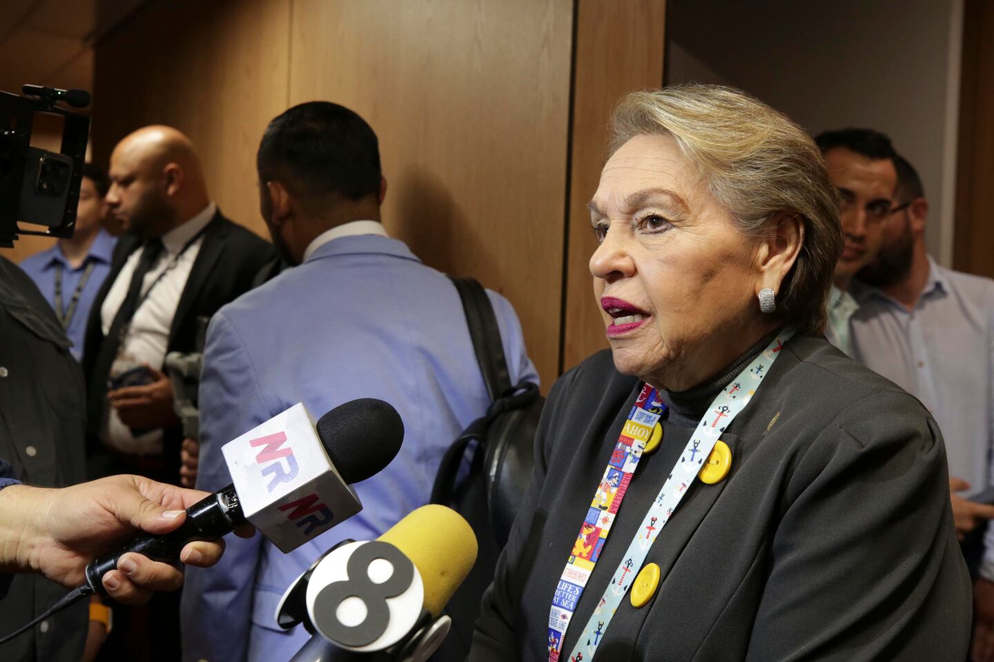 Gloria Navas: ‘El gobierno ignora la seguridad ciudadana’ | La Nación